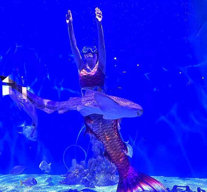 Even mermaids need eye protection! This performer adds a modern twist to ancient mythology with stylish goggles while maintaining that enchanting underwater grace.