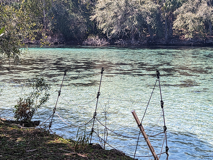 The natural spring beckons with waters so transparent you'd swear someone snuck in overnight and replaced it with liquid crystal.