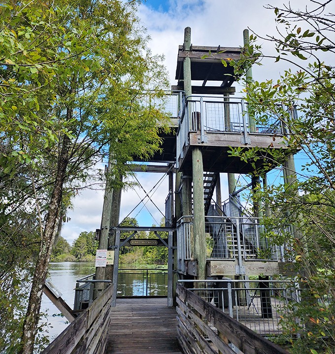 This three-story wooden structure stands sentinel over the wetlands, inviting visitors to climb for breathtaking views of Florida's wild beauty.