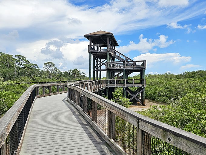 This observation tower isn't just a structure &ndash; it's a time machine to simpler days when views weren't measured in pixels.