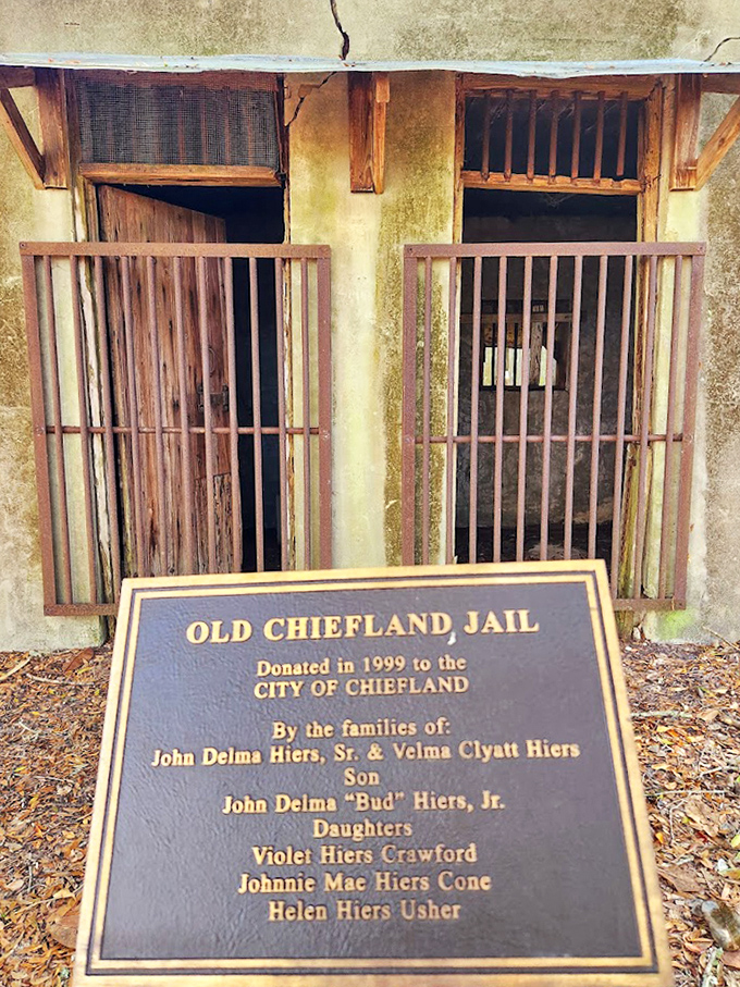 Peer through these rusted bars and imagine the stories of those who once gazed outward, longing for freedom.