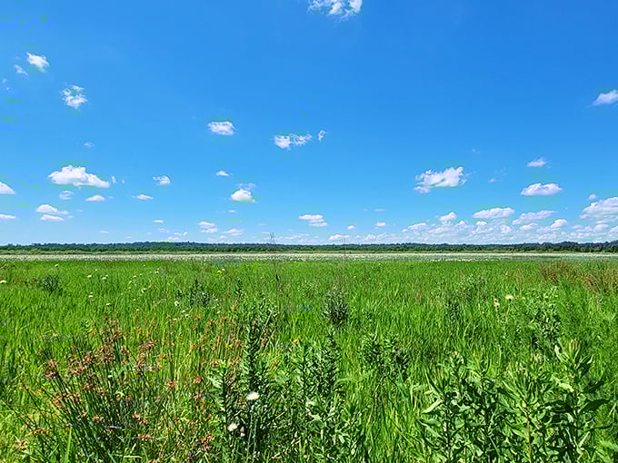 Open fields stretch toward the horizon like nature's version of a welcome mat, inviting visitors to breathe deeply and slow down.