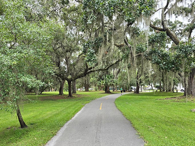 Spanish moss drapes from ancient oaks along this shaded path, nature's version of a canopied runway.