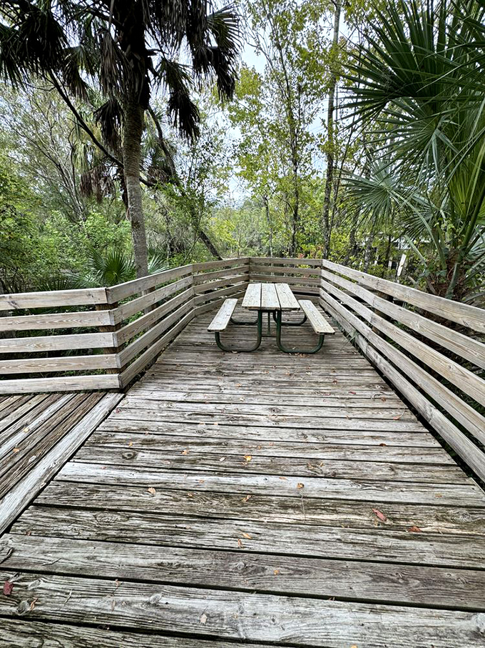 The world's most scenic lunch spot? This picnic table offers dining with a view that puts five-star restaurants to shame.