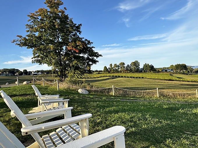 The ultimate front-row seats to nature's show &ndash; these Adirondack chairs invite you to slow down and savor both the wine and the spectacular bay views.