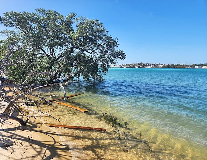 The shoreline at Blowing Rocks offers a front-row seat to nature's most spectacular water show.