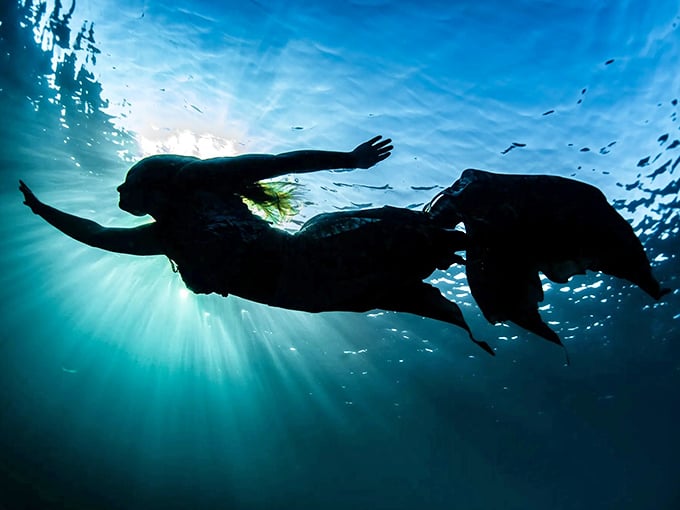 A silhouette against dancing sunrays, this mermaid's elegant ascent captures the dreamlike quality of underwater movement.