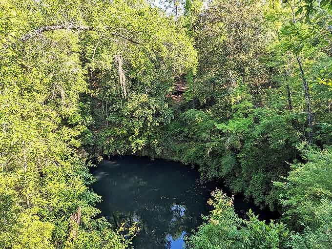 That's not green soup &ndash; it's a duckweed-covered pool at the sinkhole bottom, nature's way of saying "I do dramatic water features too!"