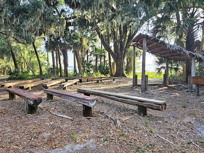 Rustic wooden benches await weary hikers, positioned perfectly for contemplating nature's symphony without checking your step count.