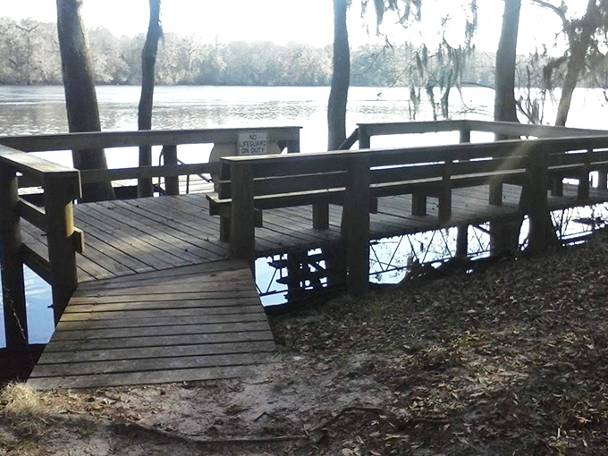This wooden dock invites contemplation &ndash; or fishing if you're human, intense squirrel-watching if you're canine.