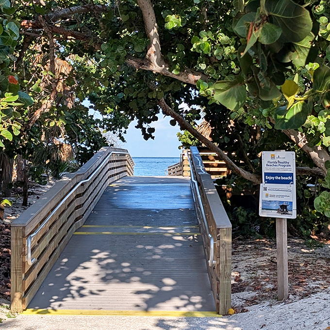 Nature frames the path to paradise, where sea grapes and palms create a living tunnel to aquamarine waters beyond.