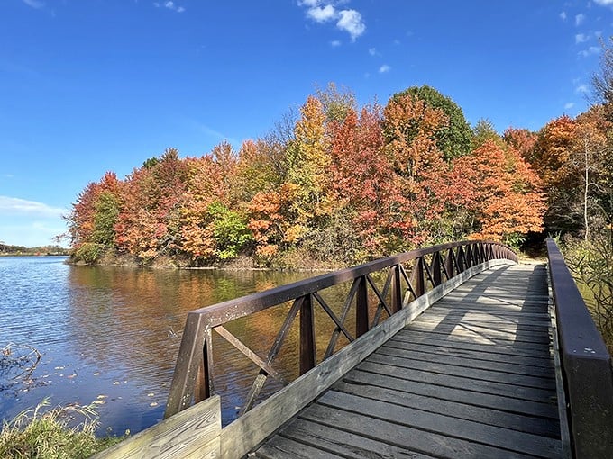 This isn't just a bridge &ndash; it's a portal between everyday life and woodland magic, with each plank telling stories of countless footsteps.