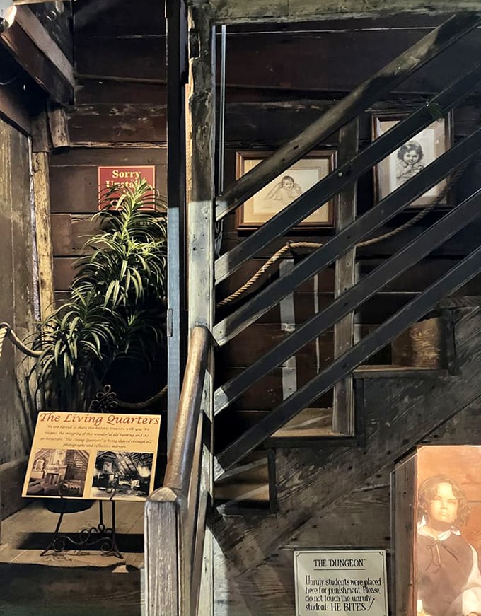 Historical Staircase: These worn wooden steps have carried centuries of footsteps. Each creak tells a story of students probably trying to sneak upstairs.