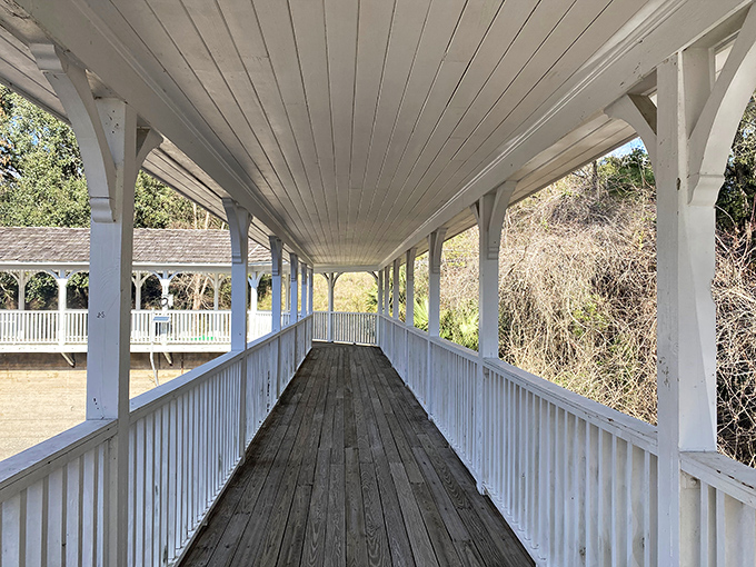 Sunlight dapples the wooden walkway where Victorian-era visitors once promenaded between healing soaks in sulfurous waters.