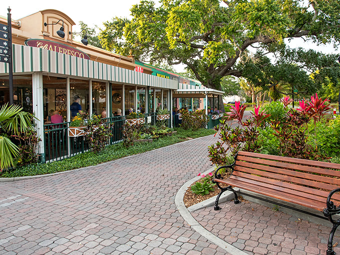 Dunedin's walkable downtown features colorful storefronts and palm-lined streets, creating a perfect blend of Florida sunshine and small-town hospitality.