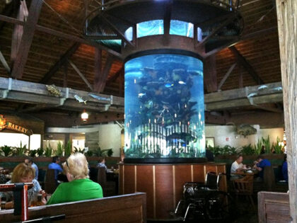 10 Magical Aquarium Restaurants In Florida That Are Mesmerizingly Beautiful