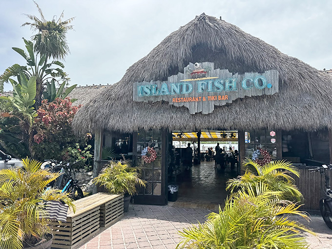 Island Fish Company's colorful tiki-style setting creates the perfect tropical backdrop for enjoying fresh seafood with stunning waterfront views.