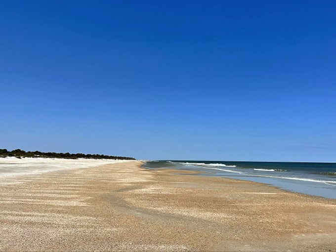 3a. little talbot island (jacksonville)