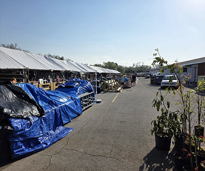 Blue tarp specials ahead! Red Barn's covered vendor alley stretches into the distance, where savvy shoppers know the most interesting finds often hide under protective covers.