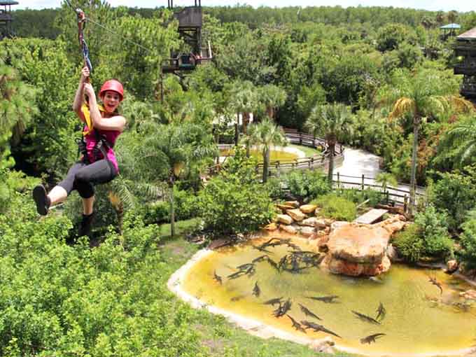 Nothing gets your heart racing quite like flying over a pool of prehistoric predators at Gatorland.