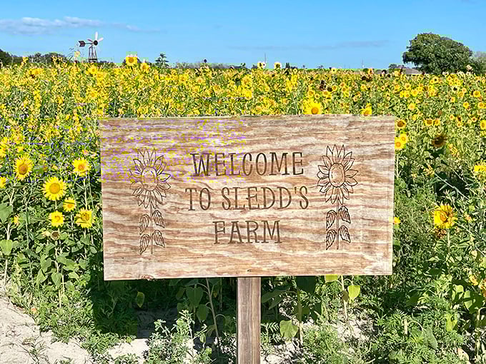 3a. sledd's u pick farm