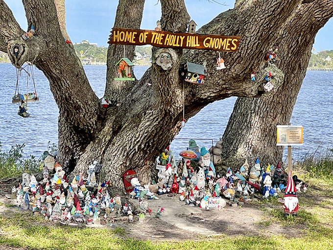 The famous Holly Hill Gnome Tree proudly displays its sign while hundreds of colorful residents gather at its base by the Halifax River.