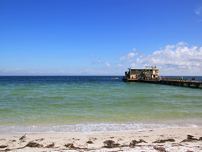 Bean Point's pristine shoreline stretches toward the horizon, offering panoramic water views without the crowds.
