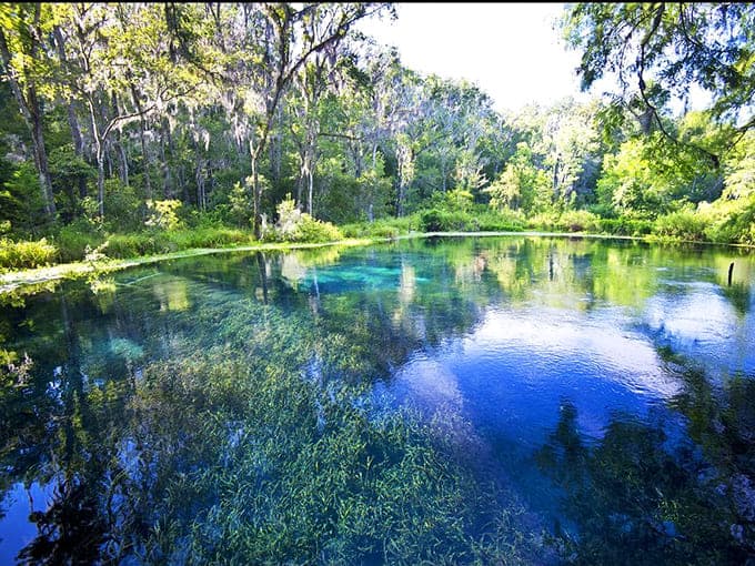 The spring bubbles up like nature's own jacuzzi, minus the jets and chlorine.