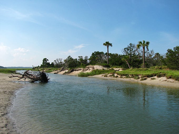 3b. little talbot island (jacksonville)