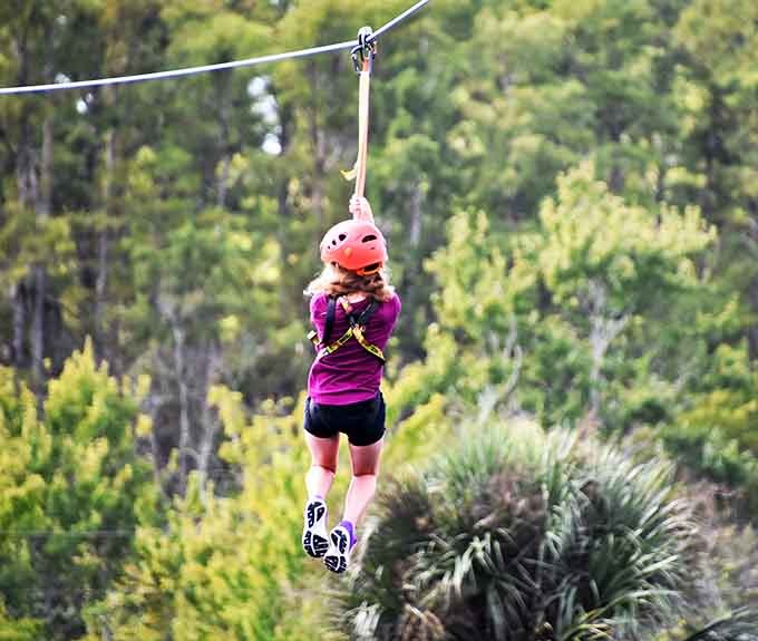 Screaming with joy while gators lounge below creates memories that'll last way longer than any theme park photo.