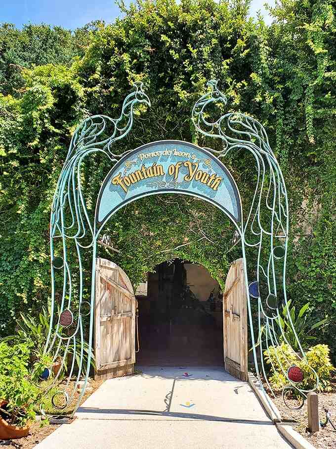 A beautiful archway welcomes visitors to the Fountain of Youth, where peacocks roam freely and history comes alive.