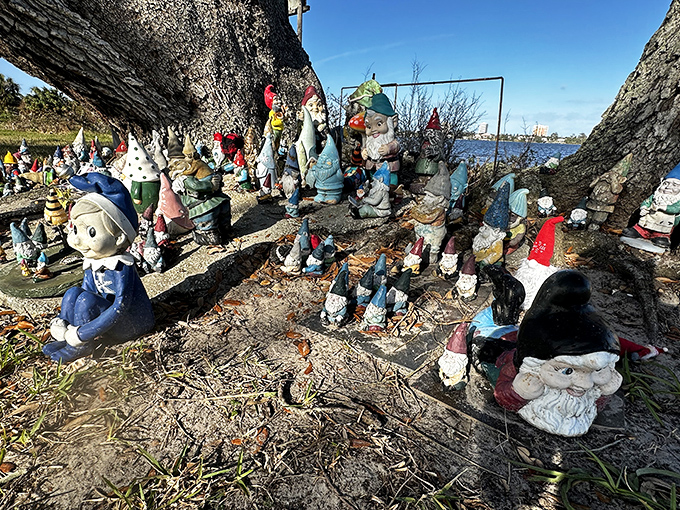A closer look at the Holly Hill Gnome community reveals incredible variety &ndash; from fishing gnomes to tiny musicians, all living their best lives.