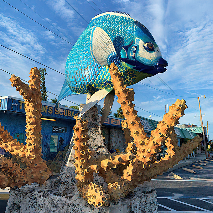 From this angle, you can almost imagine this magnificent creature swimming through the Keys' azure waters instead of floating above concrete.