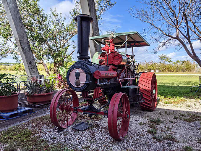 Before tractors went diesel, these steam-powered beasts ruled the fields, looking like locomotives that decided farming sounded more interesting than railroading.