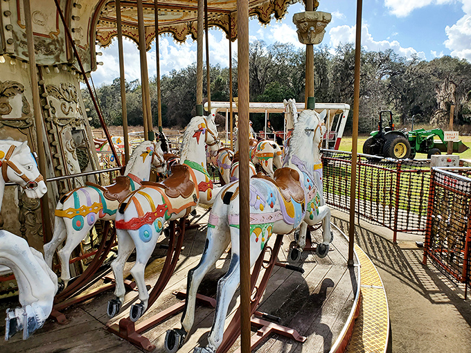 Carousel horses frozen in eternal gallop, their hand-painted details and jewel-toned saddles inviting riders to chase childhood memories with each rotation.
