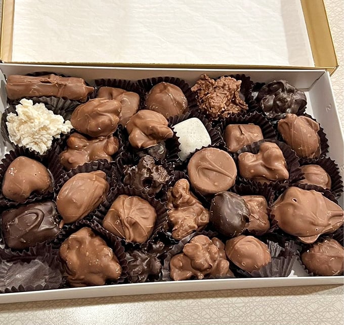 Assorted Chocolates: Chocolate geography at its finest &ndash; a landscape of handcrafted morsels where every bump and swirl promises a different adventure.