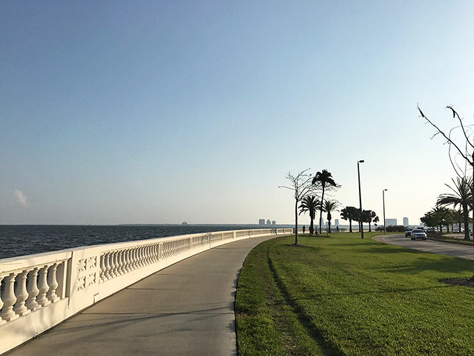 The pristine white balustrade stands sentinel between pedestrians and Tampa Bay's sparkling waters, a design element that's become synonymous with the boulevard.