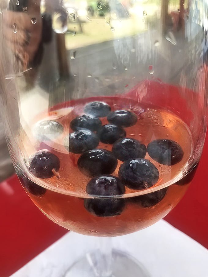 Liquid purple perfection with floating blueberries &ndash; this isn't just wine, it's Florida sunshine and soil captured in a glass.