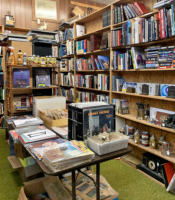 Literary treasures line these shelves &ndash; each spine a doorway to another era, with forgotten bestsellers rubbing covers with timeless classics.