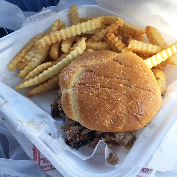 This isn't just a sandwich, it's a brisket masterpiece that makes you wonder why you'd ever eat anything else.