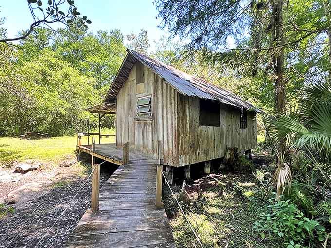 Not your average vacation rental &ndash; this rustic cabin stands as a weathered sentinel to Florida's logging past and conservation present.