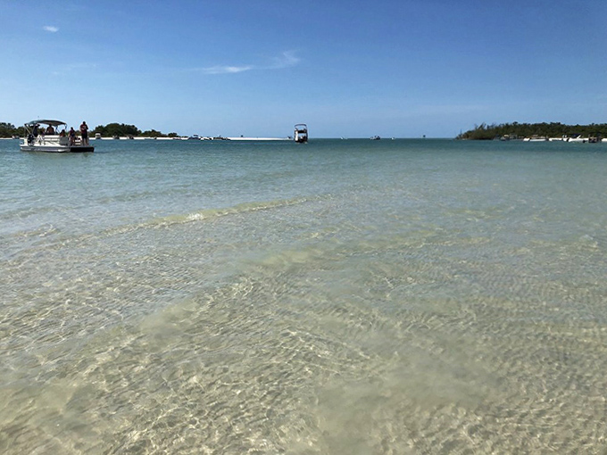 Nature's swimming pool stretches to the horizon, with water so clear you can count your dog's toes as they paddle.