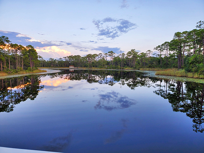 Cerulean Park's lush landscape offers a tranquil retreat where azaleas and live oaks create nature's perfect living room.