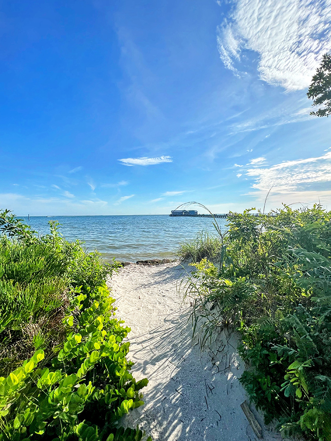 Nature's welcome mat to paradise &ndash; a sandy path flanked by sea oats swaying like they're dancing to their own beachy soundtrack.