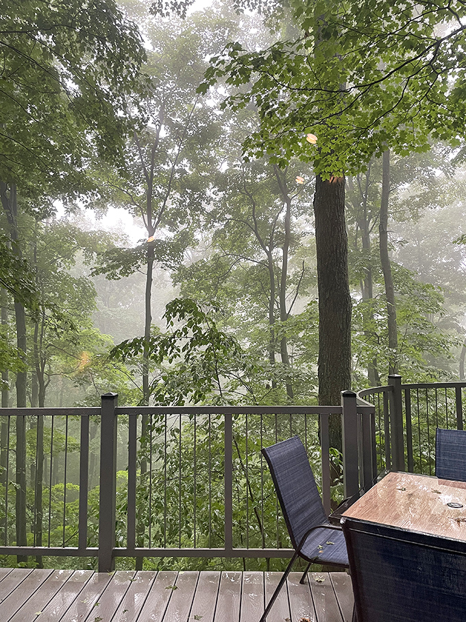 Morning coffee achieves mythical status when sipped on this misty deck, where the boundary between treehouse and forest becomes deliciously blurred.