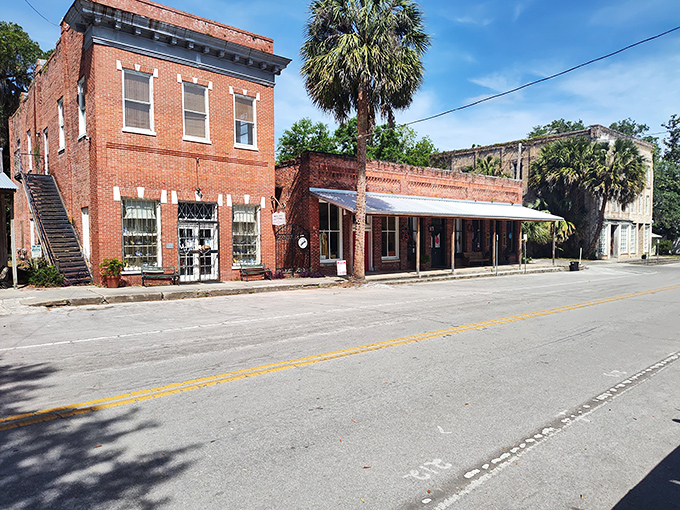 Delectable Collectables combines literary treasures with vintage finds, creating a browser's paradise where hours disappear like minutes.