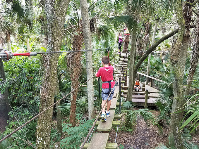 Nature's playground from above – wooden bridges create pathways through lush greenery, offering views typically reserved for the birds.
