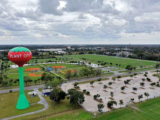 From this vantage point, the strawberry tower watches over lush fields and sports complexes, a sweet guardian of Plant City's landscape.