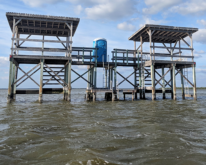 The full chickee structure stands like nature's penthouse suite &ndash; five-star views with zero-star amenities.