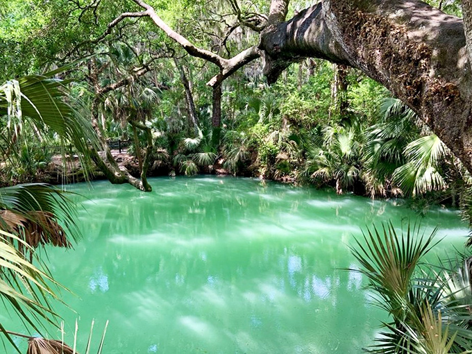 The spring's distinctive color comes from mineral deposits, not aliens (probably) &ndash; though the unearthly glow might make you wonder.